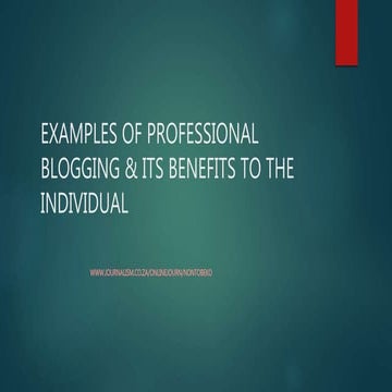 3 Examples of Professional Bloggers | PPT