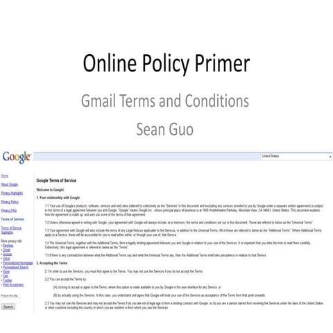 Online policy primer | PPTX