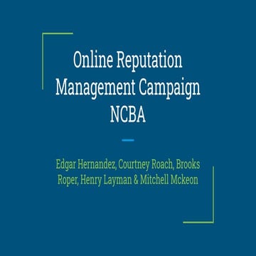 Online Reputation Management Campaign.pdf