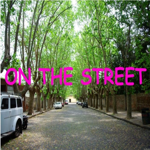 On the street | PPT
