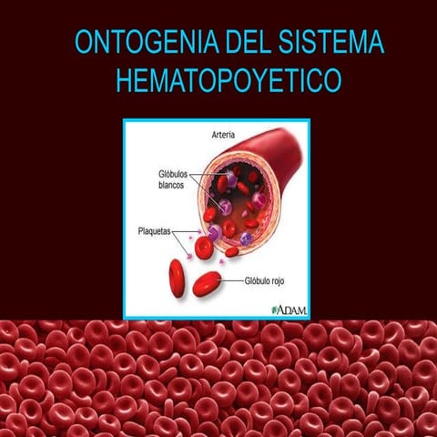 ONTOGENIA.pptx