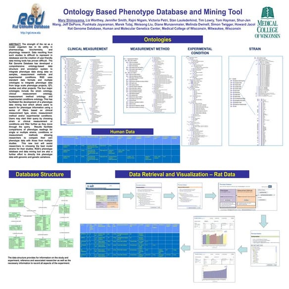 Ontology based phenotype database and mining tool | PPT