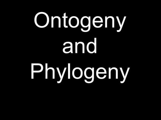 Conidial ontogeny | PPTX | Gardening | Home & Garden