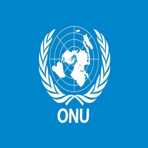 organigrama completo de la ONU- a modo de esquema | PDF