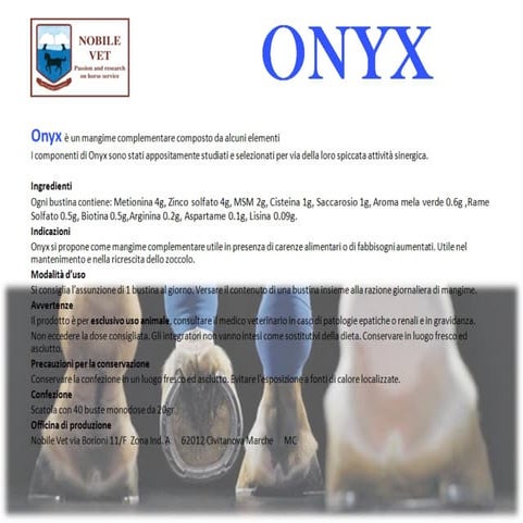 Onyx 4 pdf | PPT