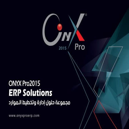 Onyx Pro ERP | PDF