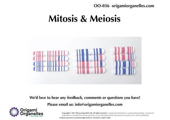 Lesson 7.1 - Modeling Meiosis Lab (1).pdf