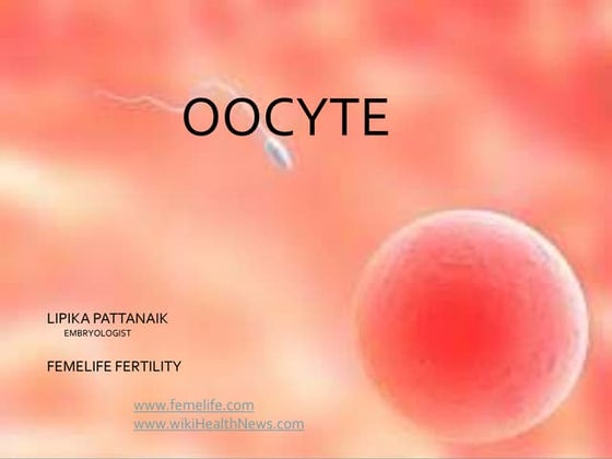 Oocyte Morphology assessment | PPT