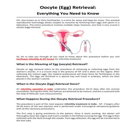 Oocyte (Egg) Retrieval: Everything You Need to Know | PDF