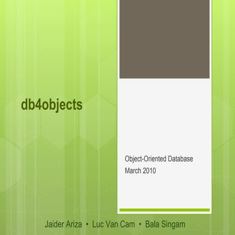 DB4O - OO Database Implementation | PDF