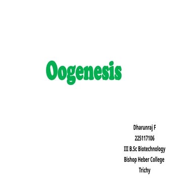 OOGENESIS. Class XII Biology presentation | PDF