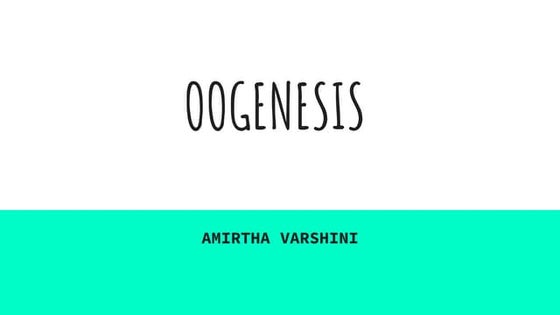 Oogenesis | PPT