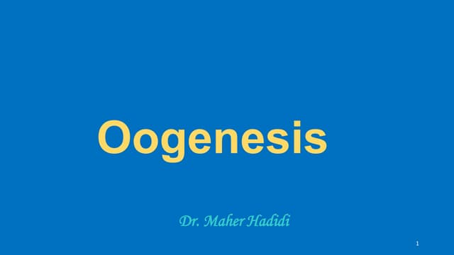 Oogenesis | PPTX