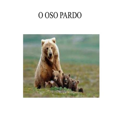 O oso pardo | PPTX