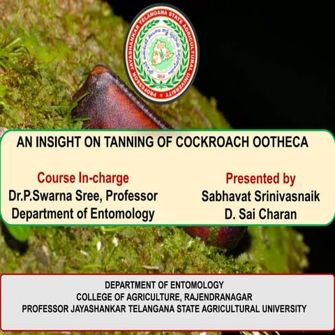 Ootheca .ppt | Free Download