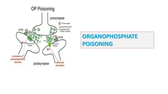 Organophosphate poisoning and its management (Clinical Toxicology) | PPT