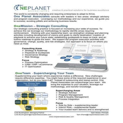 Opa consulting brochure | PDF | Management Consulting Industry | Industries