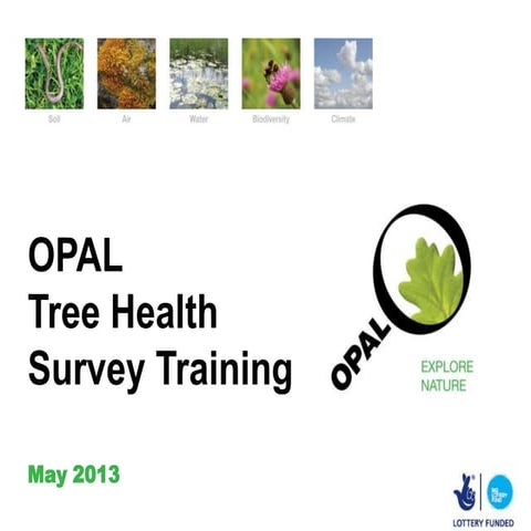 OPAL Tree Health Survey training presentation | PPTX