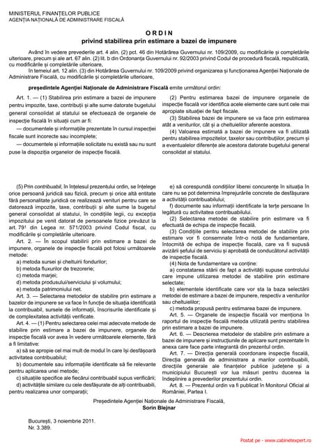 Raport de audit intern | DOCX