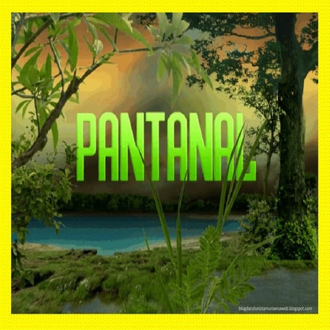 O pantanal | PPT