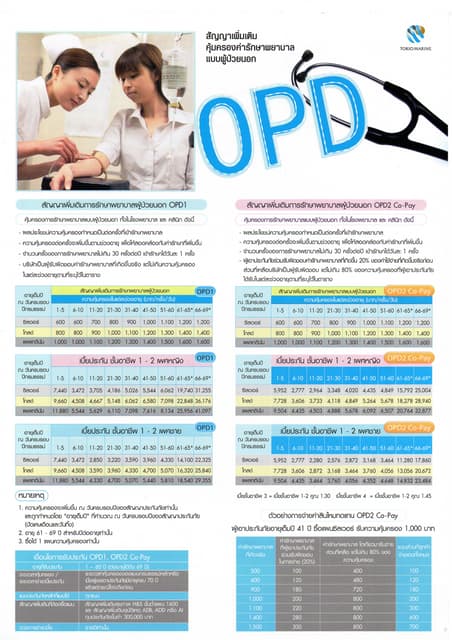 Company profile | PDF