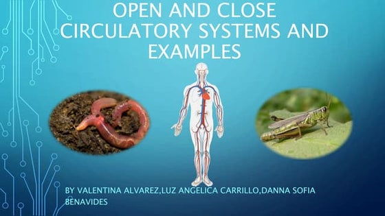 Animal circulatory system | PPT