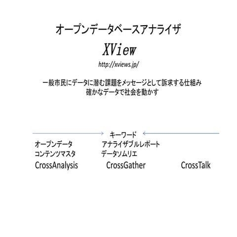 オープンデータベースアナライザXView | PDF