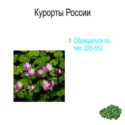 Gulja presentations