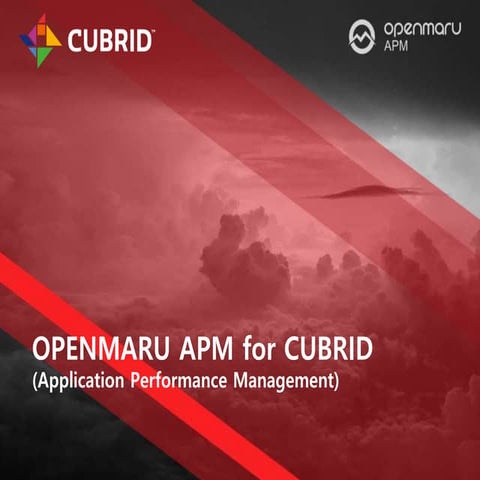 OPENMARU APM for 큐브리드 ( OPENMARU APM for CUBRID ) | PPTX