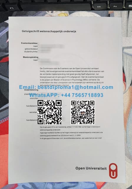 University of Manchester transcript31.pdf