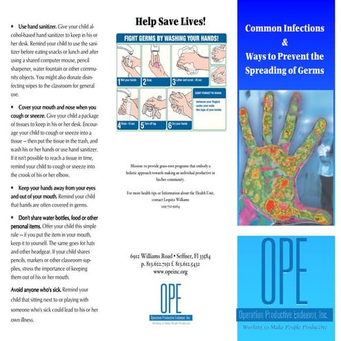 Hand Washing Infographic | PDF