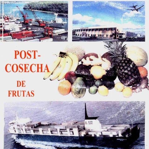 Diagrama de flujos - post cosecha frutas y hortalizas | DOCX