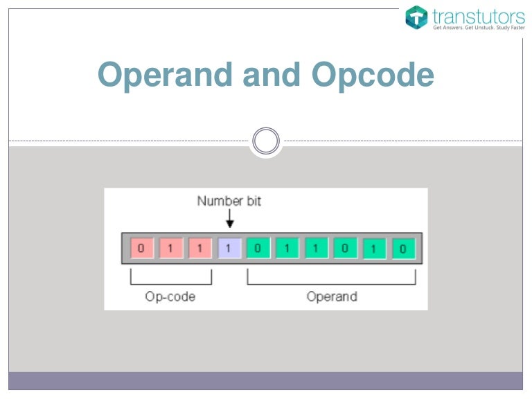 Operand and Opcode | Computer Science