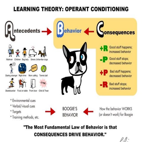 Lesson 8 operant conditioning