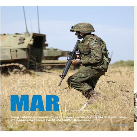 A Heráldica na Força Aérea Brasileira.pdf