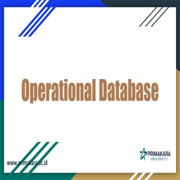 Operational Database by primakara univ.pptx
