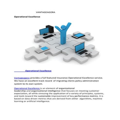 Operational excellence | PDF