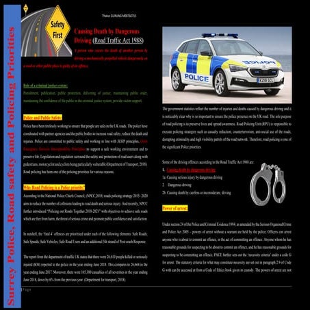 Operational policing poster | PDF