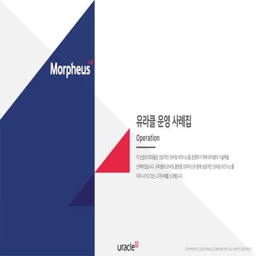 Uracle Operation use case | PDF