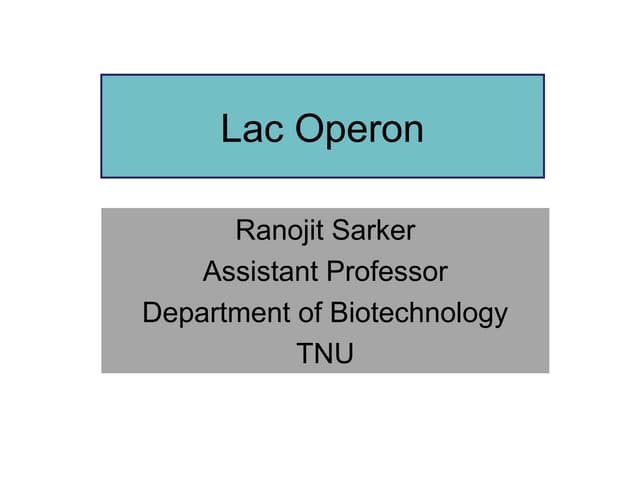 Ara operon | PPTX