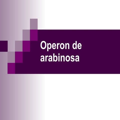 Operon Ara | PPT