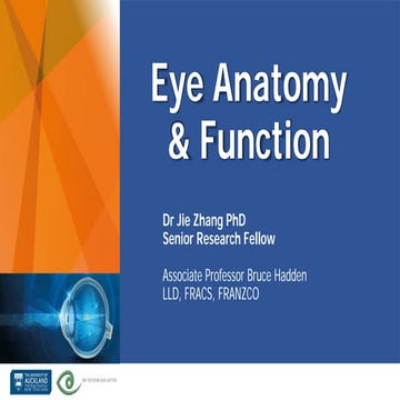 ophthalmology-v-eye-anatomy-and-function.pdf