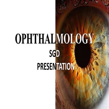 Uveitis Pptx