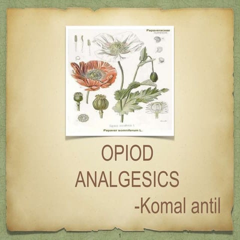 Opiod analgesics | PPT