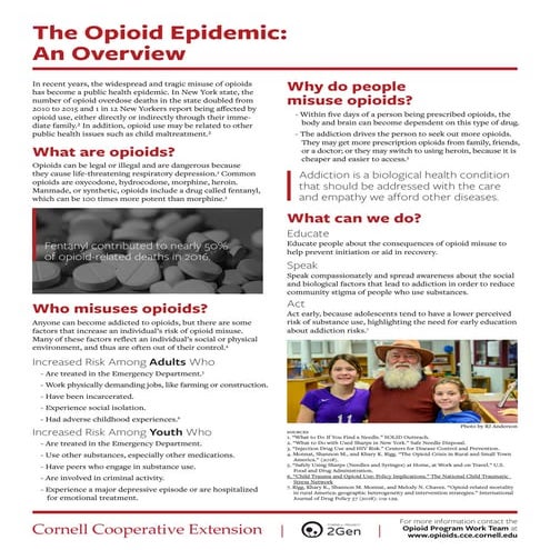 The Opioid Epidemic: Warning Signs and Next Steps | PDF
