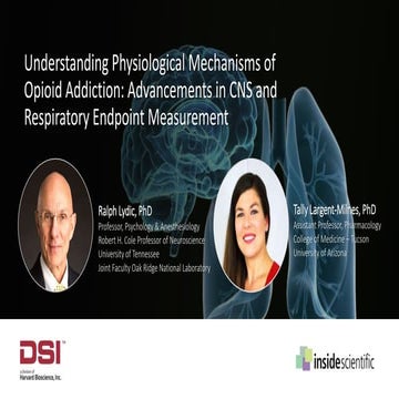 Understanding Physiological Mechanisms of Opioid Addiction ...