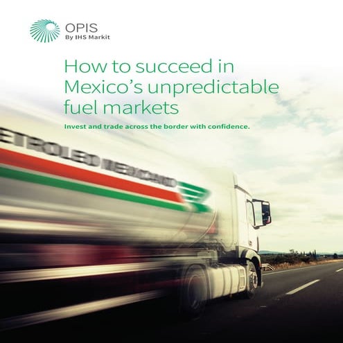 OPIS Overview Brochure | PDF