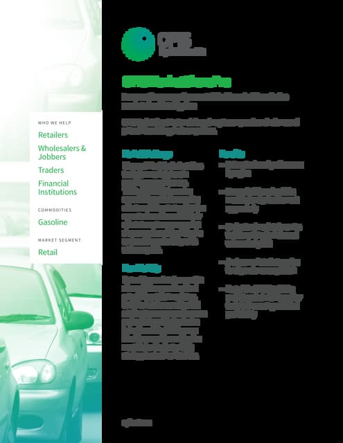 OPIS Overview Brochure | PDF