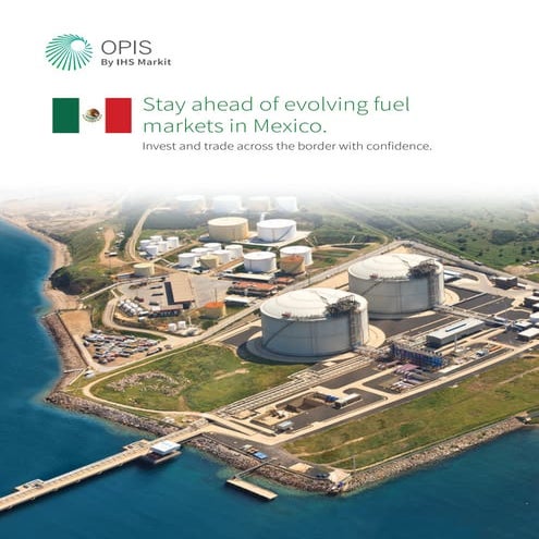 OPIS Overview Brochure | PDF