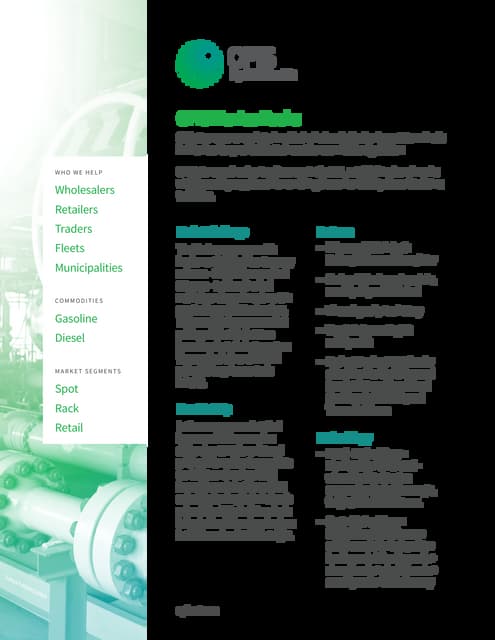 OPIS Buyer Persona: Transportation | PDF